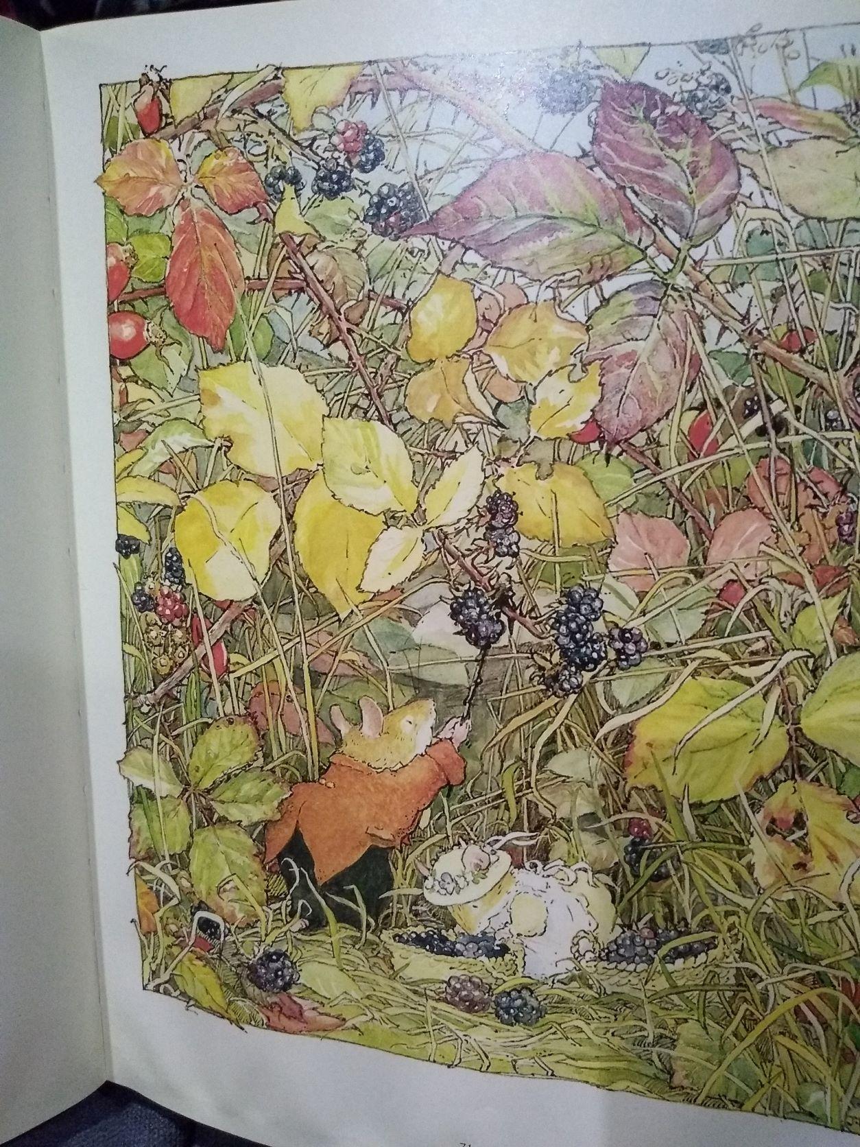 Brambly Hedge: a Wonderful Books Series by Jill Barklem - Inspire Virtue